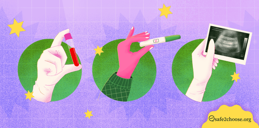 Pregnancy Tests: How hCG, Urine and Blood Tests Work