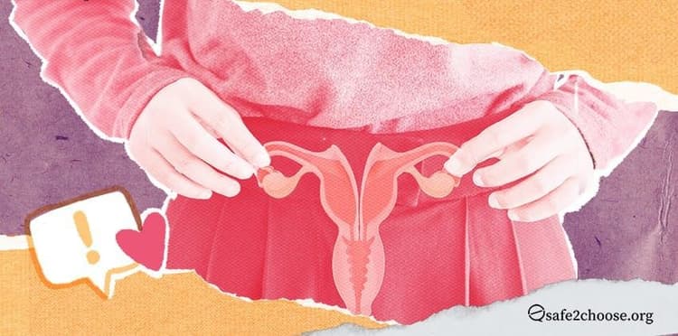 How a Double Uterus Affects Abortion and Pregnancy Risks
